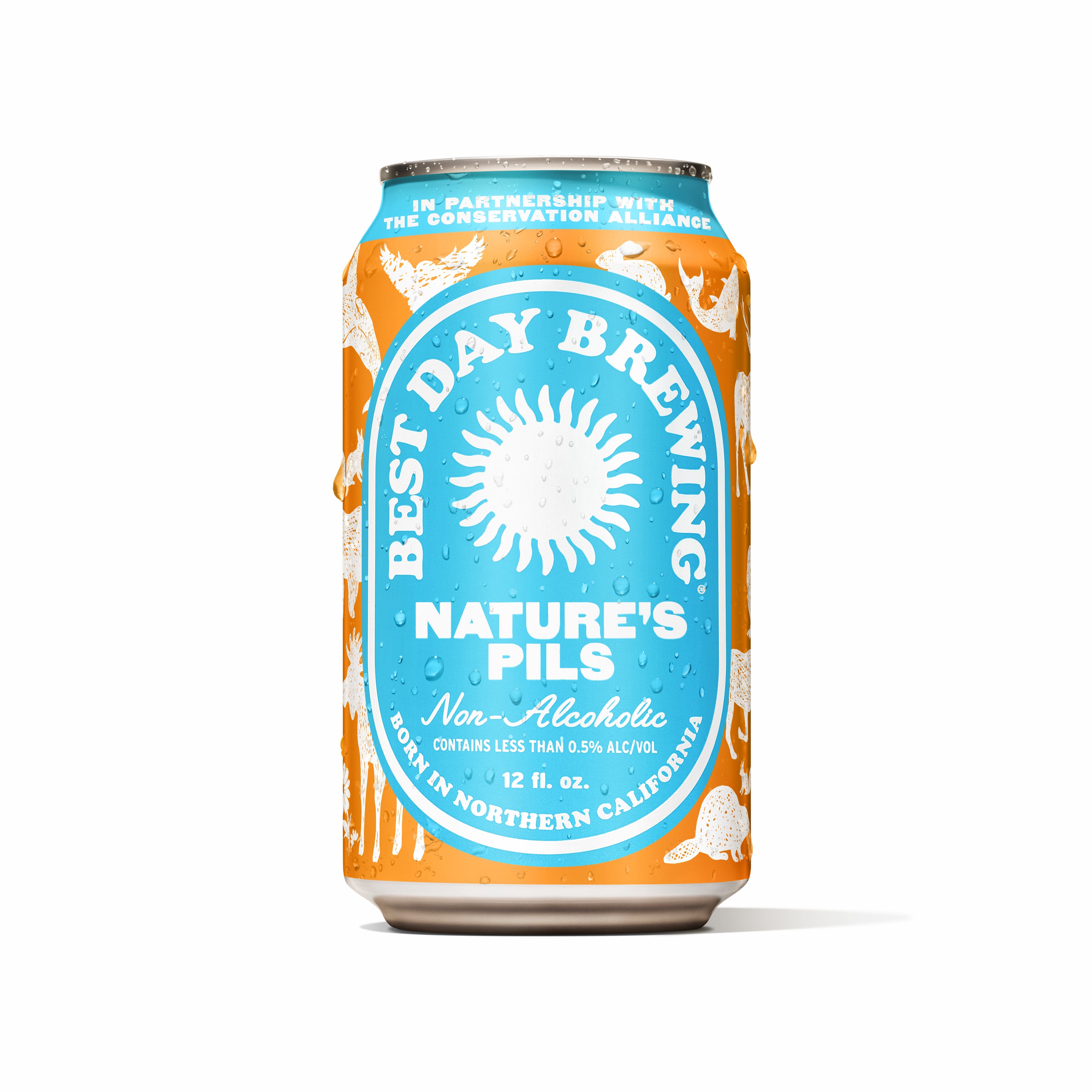 Our Non-Alcoholic Beers | Best Day Brewing