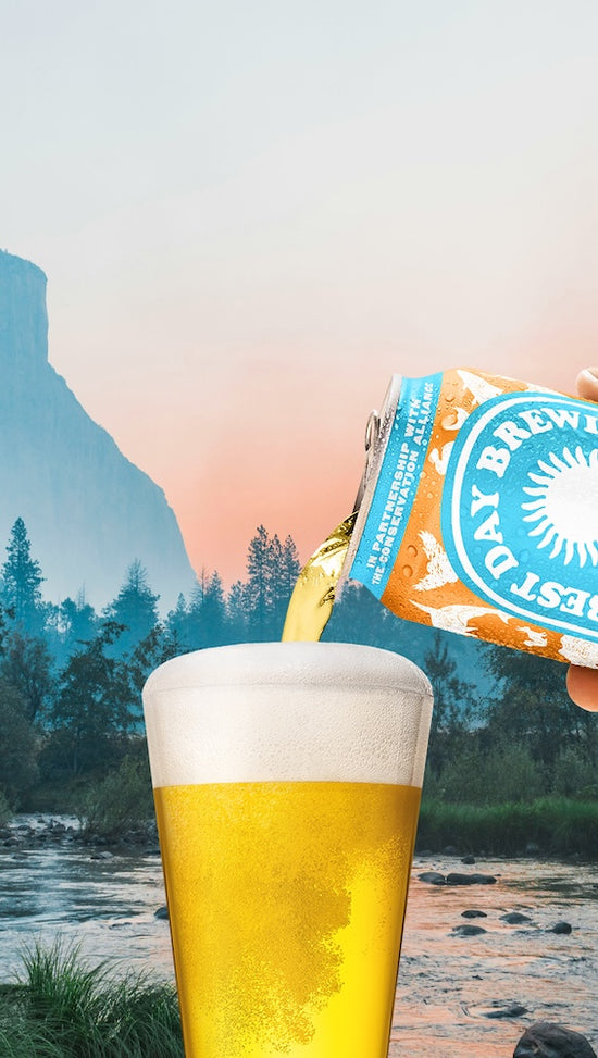 Shop Craft Non-Alcoholic Beer – Best Day Brewing