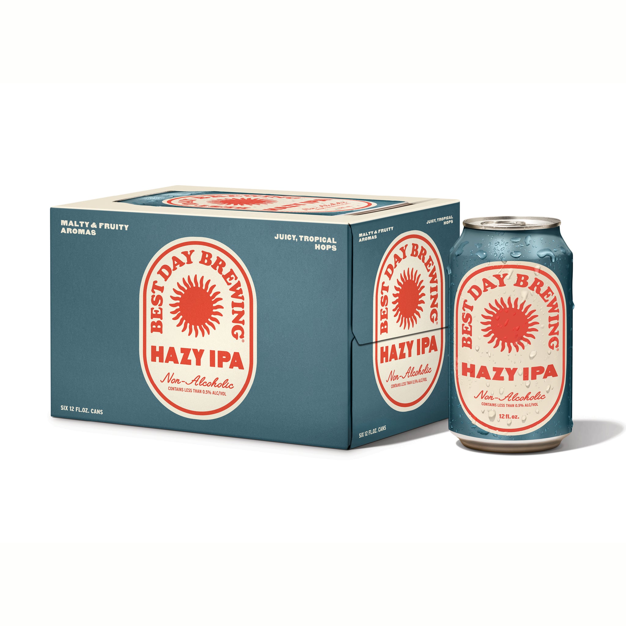 Shop Craft Non-Alcoholic Beer – Best Day Brewing